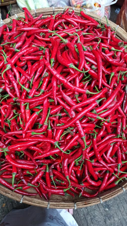 Display of Red Hot Chili Pepper in Traditional Market Stock Image ...