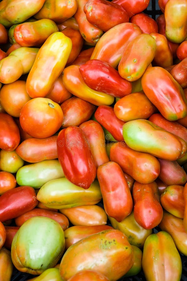 Display Red Paste Tomatoes Stock Photos - Free & Royalty-Free Stock ...