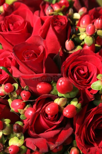 Display of roses stock image. Image of wedding, flowers - 189179