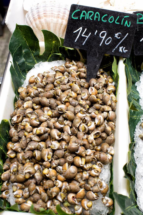Display of Small Edible Snails in the Shell for Sale Stock Photo ...