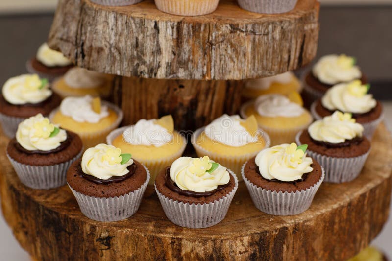 Display of Vanilla and Chocolate Cupcakes Stock Photo - Image of ...