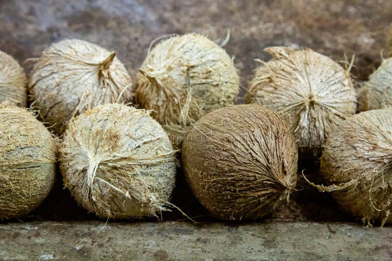A Display of Whole Coconuts for Sale Stock Photo - Image of foreground ...