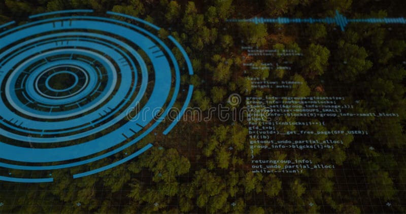 Displaying Evergreen Canopy Covering Aerial View, with Blue Circular ...