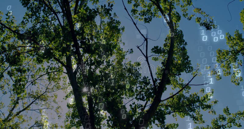 Transparent Binary Overlay Stock Photos - Free & Royalty-Free Stock ...