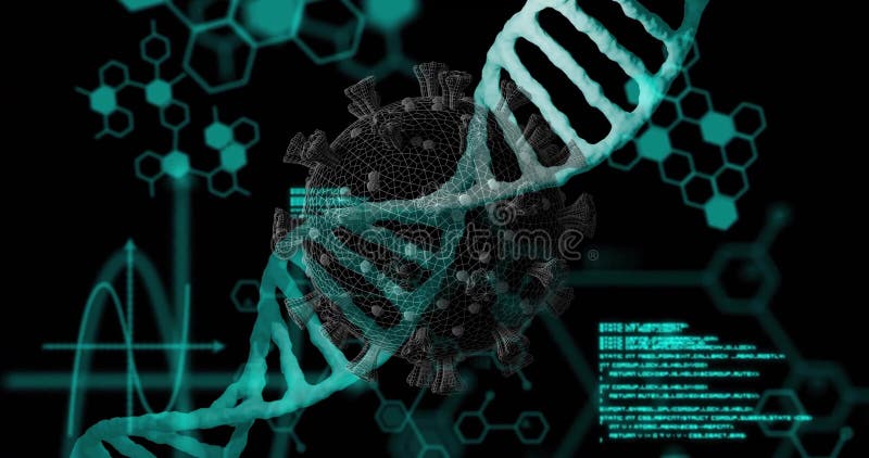 156 Wireframe Model Helix Stock Photos - Free & Royalty-Free Stock ...