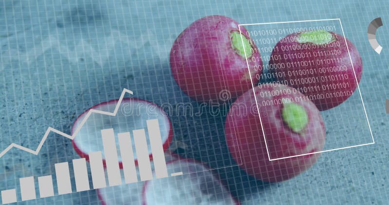 384 Food Bar Chart Stock Photos - Free & Royalty-Free Stock Photos from ...