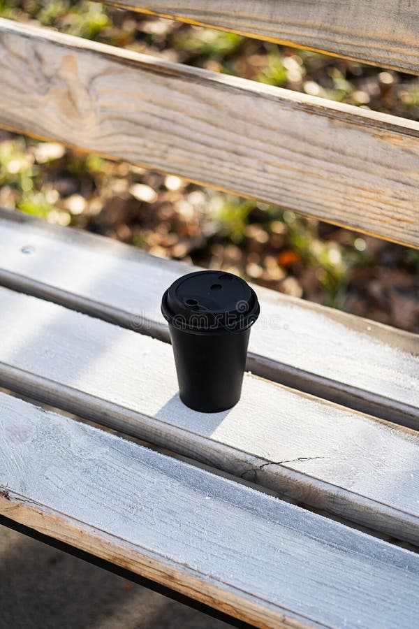 Disposable Coffee Cup on Bench in the Park at Frozen Morning Stock ...