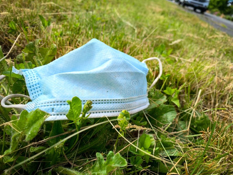 Disposable Face Mask on the Grass Stock Photo - Image of blue ...