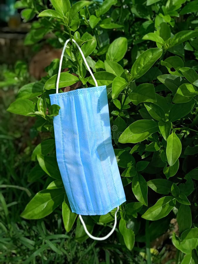 Disposable 3 Layer Face Mask Stock Image - Image of masl, coronavirus ...