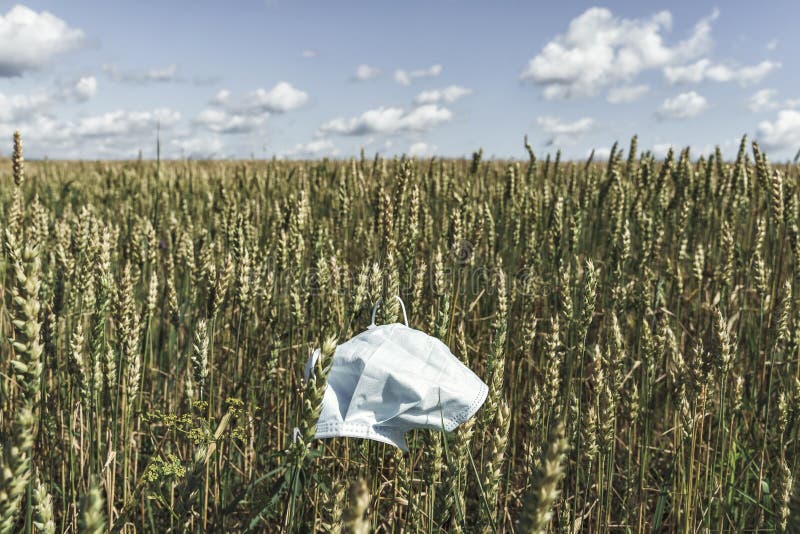 Disposable mask on a field stock image. Image of long - 193544635