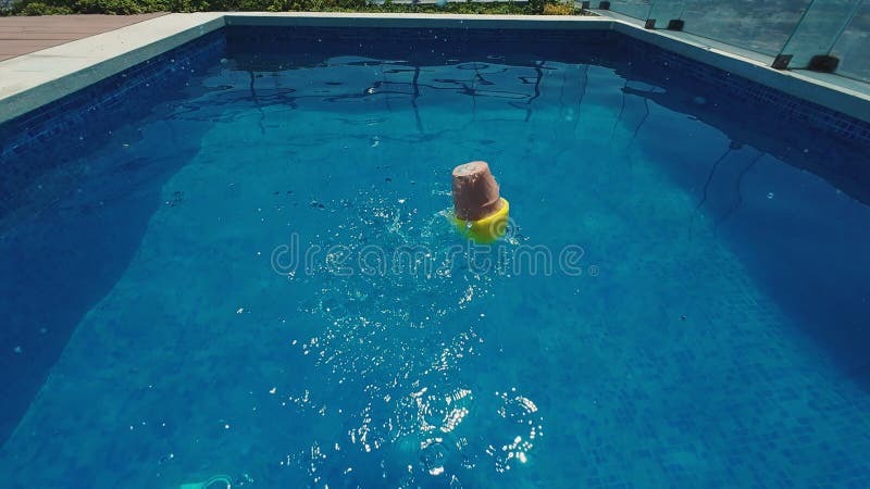 Disposable Paper Cup Floating and Sinking in Swimming Pool Stock Video ...