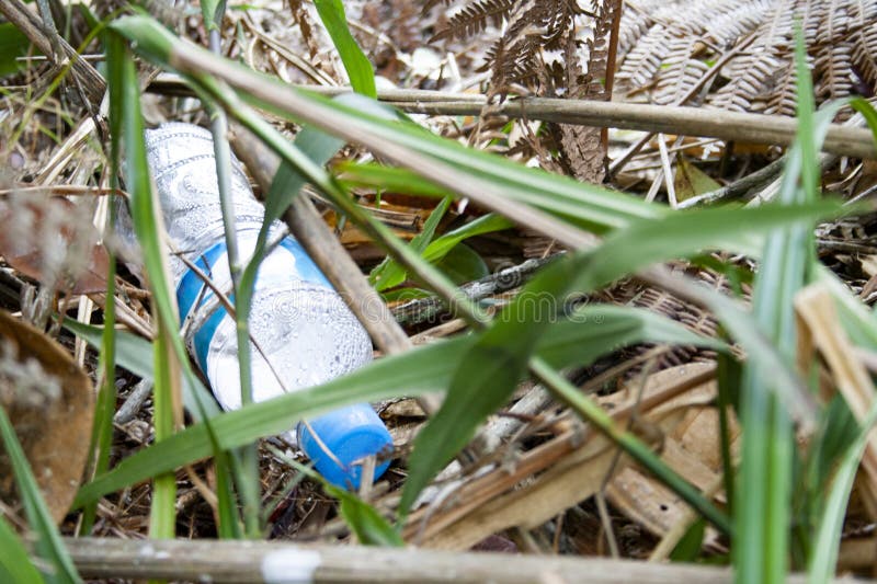 Disposable Plastic Bottle Left Abandoned on the Ground in the Jungle ...