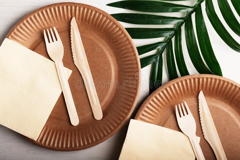 Disposable Tableware Eco, Organic Kitchen Utensils, Environmental ...