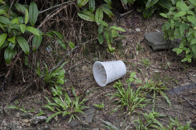 Disposable White Plastic Cup on the Ground Stock Photo - Image of ...