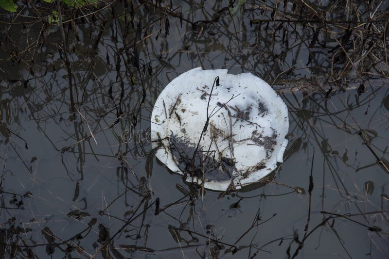 Disposed Styrofoam Plate Floating on the Dirty Water Surface Stock ...