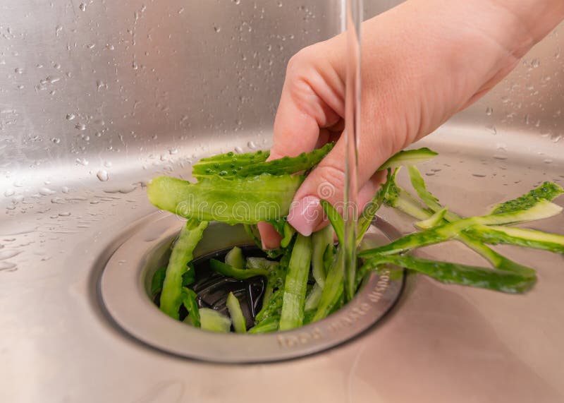 Disposing Cucumber Peels Stainless Steel Sink Garbage Disposal Stock ...