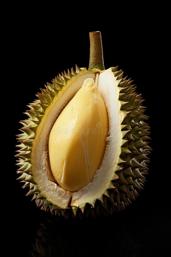 Dissected Durian Fruit with Yellow Pulp , Black Background, Yellow ...