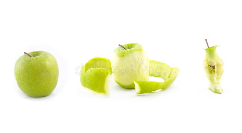 Dissection of an apple stock image. Image of tree, green - 50663351