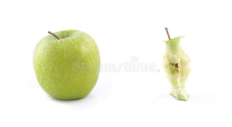 Dissection of an apple stock image. Image of tree, green - 50663351