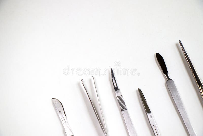 Dissection Kit for Medical Students on White Background Stock Photo ...