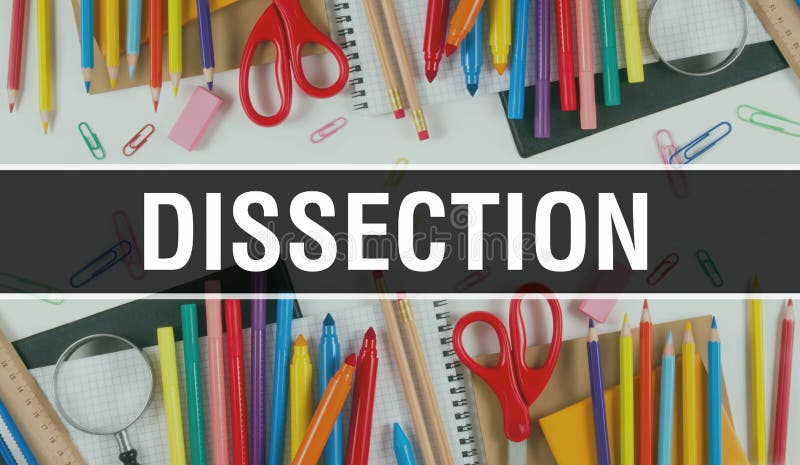 Dissection Class Stock Photos - Free & Royalty-Free Stock Photos from ...