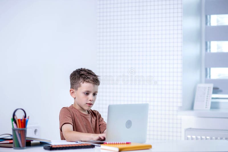 Distance Learning Online Education. a Schoolboy is Studying at Home ...