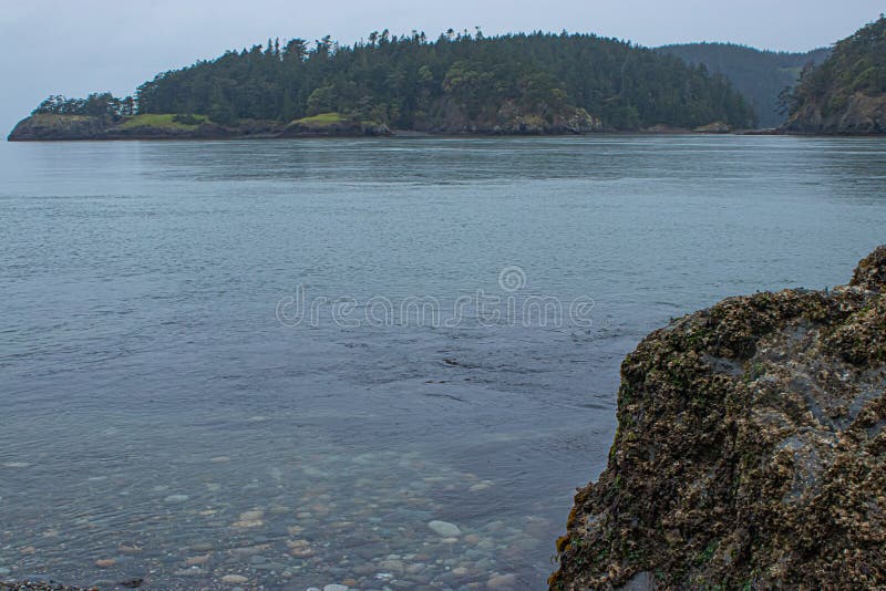 Distant Cliffs Over the Ocean with Tall Pine Trees Covering it Stock ...