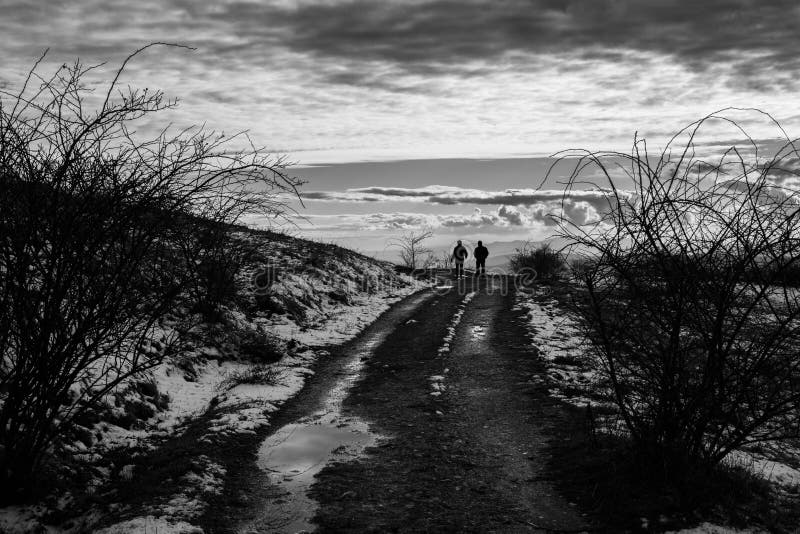 Distant Couple Walking in Orange Forest Stock Image - Image of ...