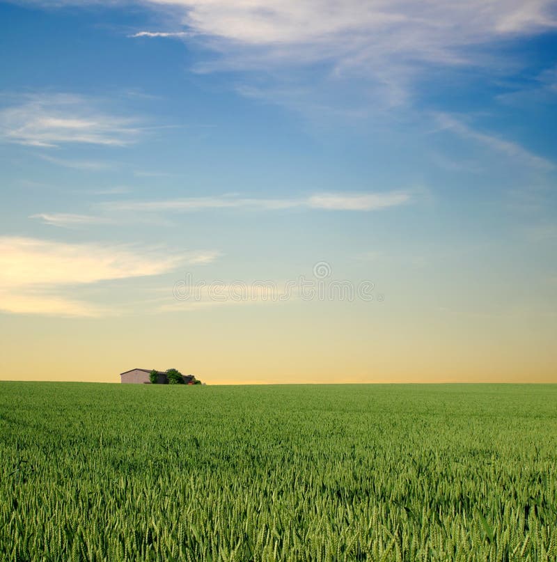 Distant farm stock photo. Image of agriculture, house - 4433308