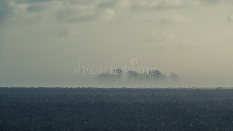 Distant forest in fog stock image. Image of quickly - 271815245
