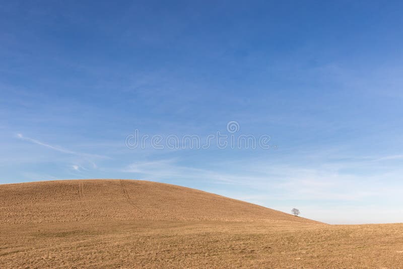 A Distant, Lonely Tree on a Bare Hill, Beneath a Blue Sky with White ...