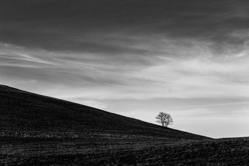 A Distant, Loney Tree on a Bare Hill, Beneath a Deep Sky with White ...