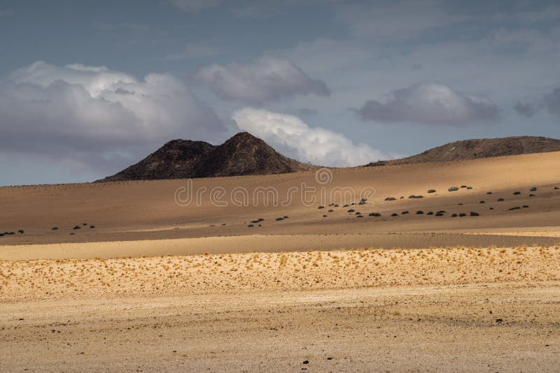 Empty desert landscape stock photo. Image of sand, cloudy - 236992956
