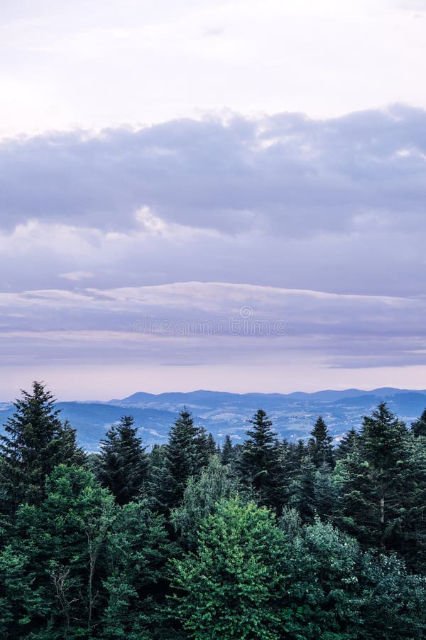 Distant Mountain Range with Layered Hills and Dense Forest in the ...