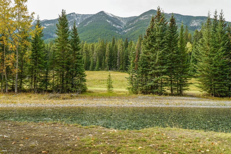 Distant Mountain Range with Pine Trees and a Brook in the Foreground ...