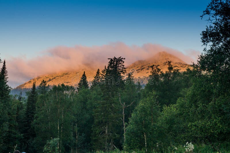 Distant Mountains Rise Above the Wild Forest Stock Photo - Image of ...