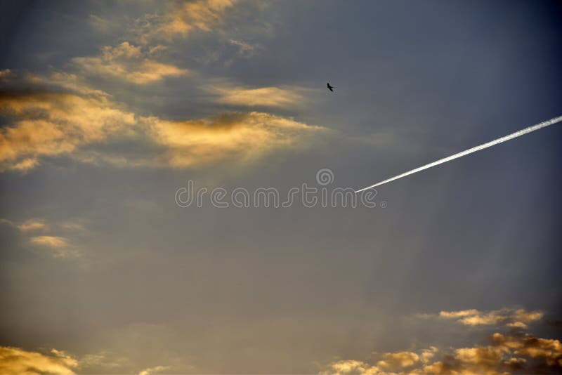 A Distant Plane Flying Across the Blue Sky Stock Photo - Image of ...