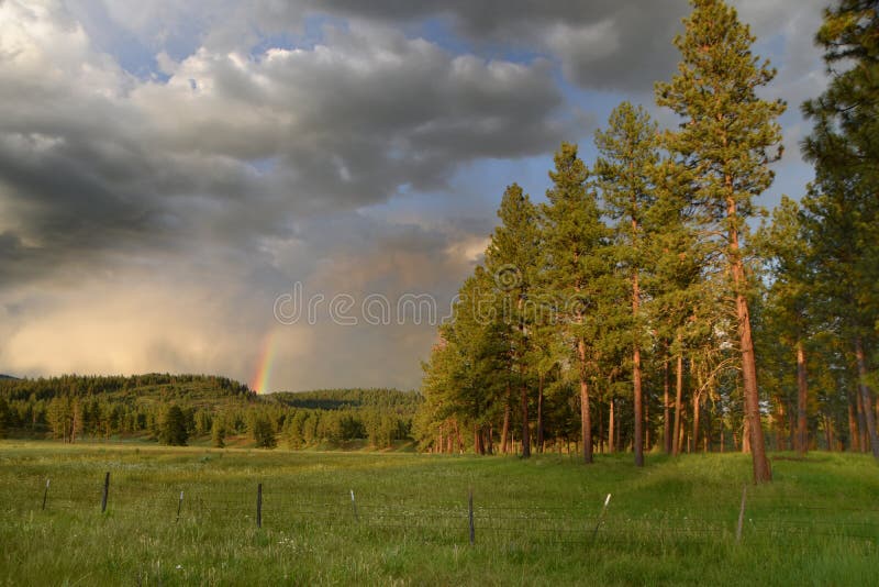 Distant Rainbow in the Breaking Clouds Stock Image - Image of field ...