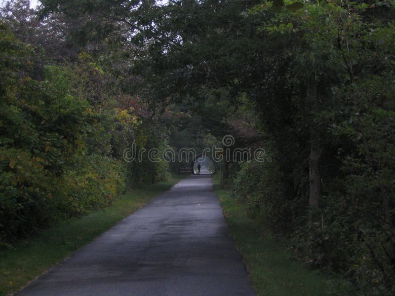 Distant Runner Tunnel Cape Cod Rail Trail Stock Photo - Image of fall ...
