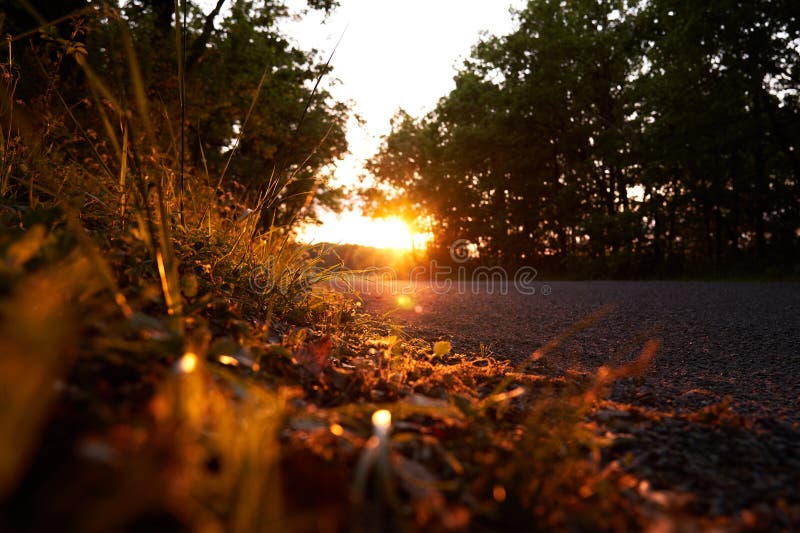 A distant sunset stock photo. Image of dawn, plain, sunrise - 260507236