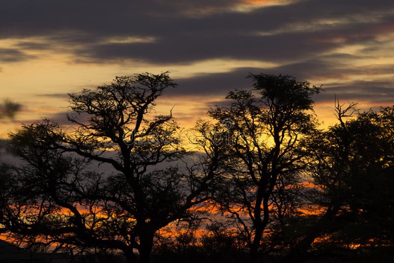 A distant sunset stock photo. Image of dawn, plain, sunrise - 260507236