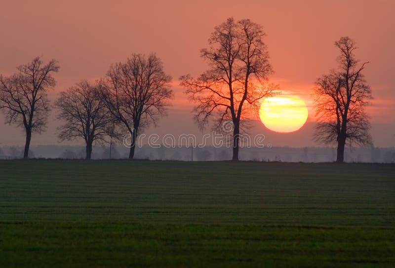 Distant sunset over field stock image. Image of landscape - 36774913