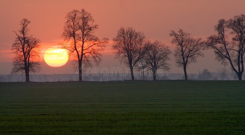 Distant sunset over field stock photo. Image of landscape - 36774916