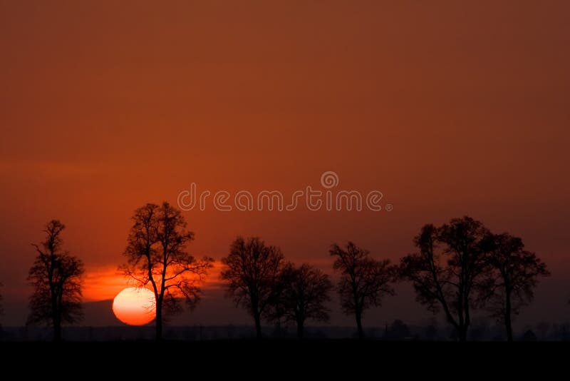 Distant sunset over field stock photo. Image of beauty - 36774918