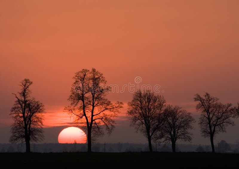 Distant sunset over field stock image. Image of outdoor - 36774921