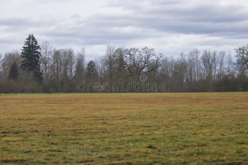 291 Treeline Distance Stock Photos - Free & Royalty-Free Stock Photos ...