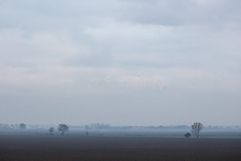 Distant trees in the fog stock image. Image of clouds - 94954649