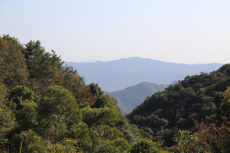 The Distant View is the Mountain Forest, with Undulating Mountains in ...