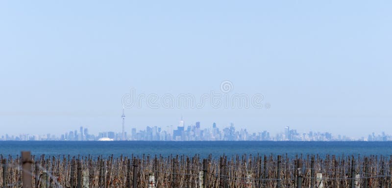 A Distant View of the Toronto Skyline from a Vineyard Stock Image ...