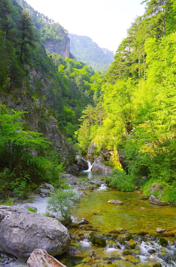 Distant Waterfall stock image. Image of green, forest - 57791625